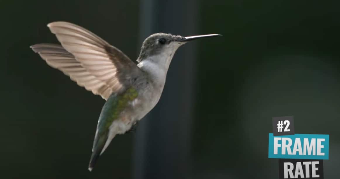 The Ultimate Guide to the Best Camera Settings for Video